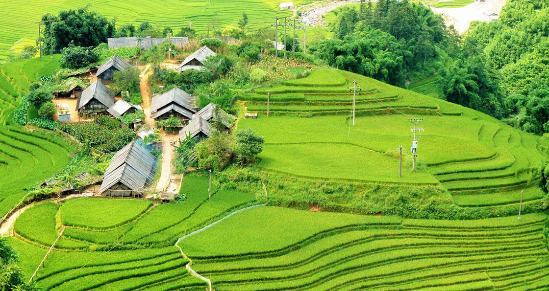 Vallée de Muong Hoa : Guide complet de cette vallée de Sapa de A à Z